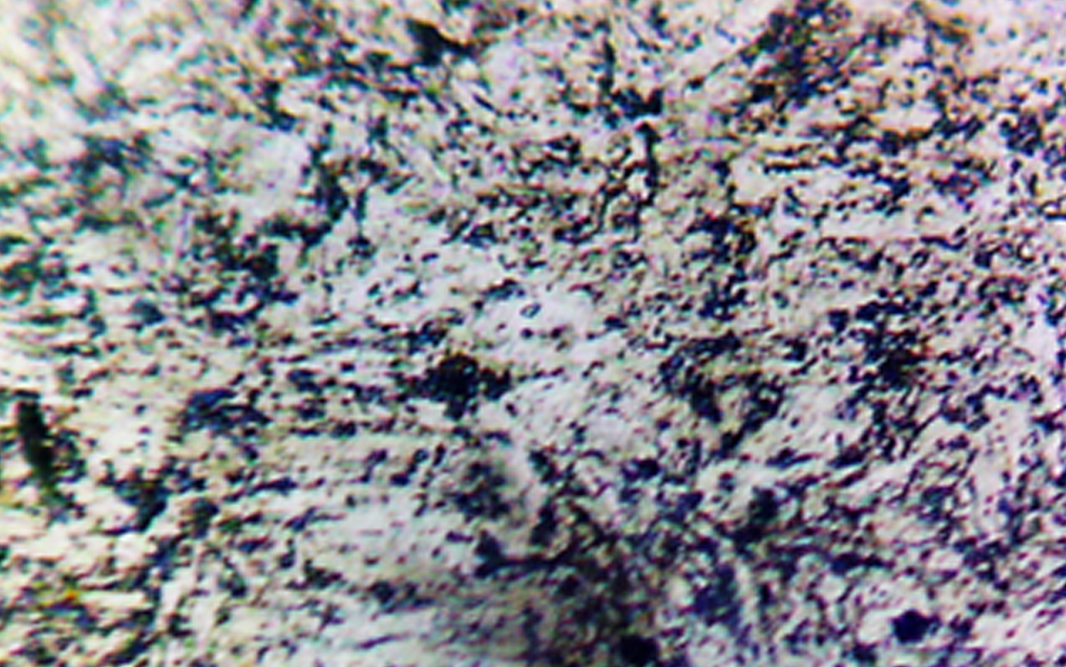 TNDT Services | Services